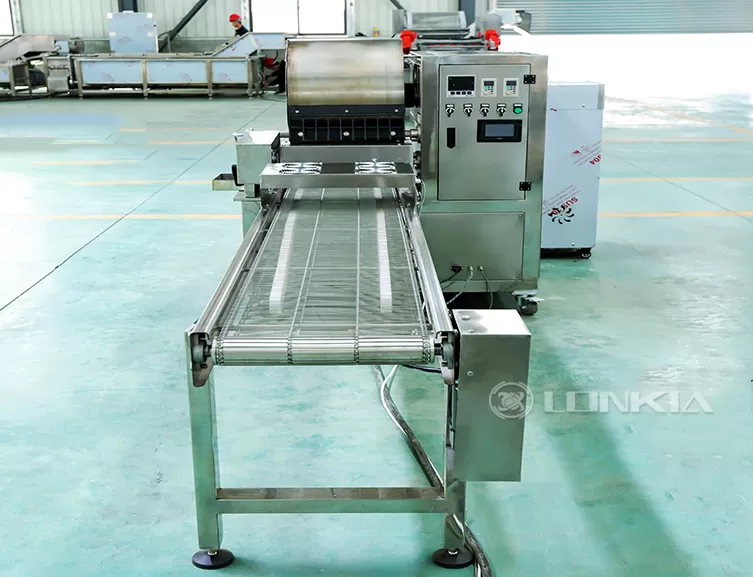 How To Make Spring Rolls Using Spring Roll Making Machine? - LONKIA ...