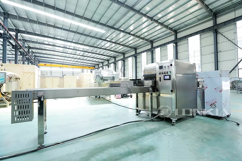 How To Make Spring Rolls Using Spring Roll Making Machine? - LONKIA ...